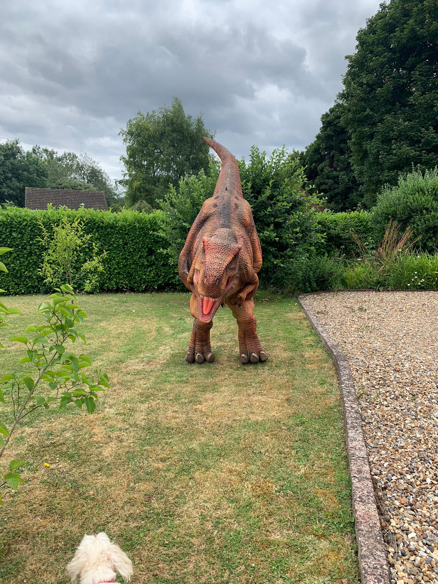 The Dinosaur Time Machine - magicalstoryelves